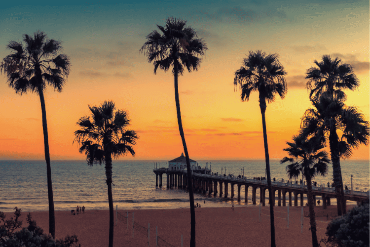 Term Life Insurance California